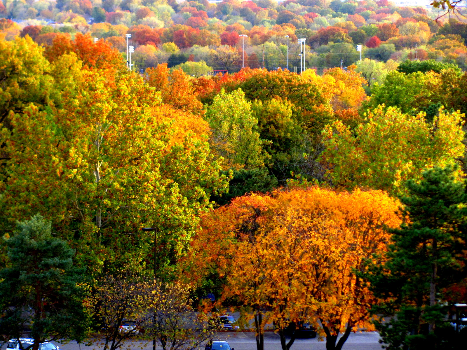 Photo gallery: Kansas in autumn, 2011 | News, Sports, Jobs - Lawrence ...